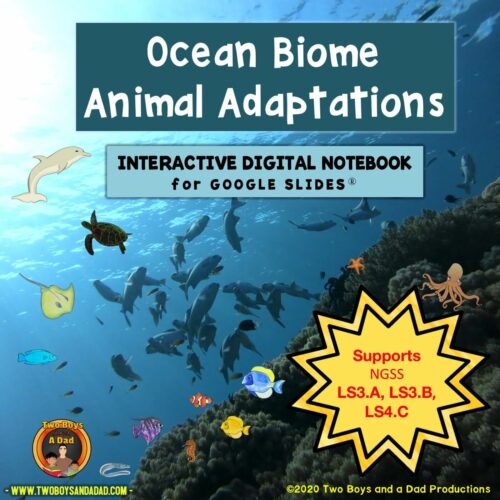 Ocean Biome Animal Adaptations Google Slides® Notebook | Made By Teachers