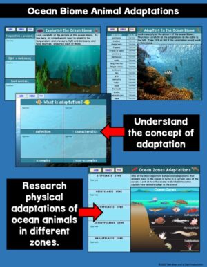 Ocean Biome Animal Adaptations Google Slides® Notebook | Made By Teachers