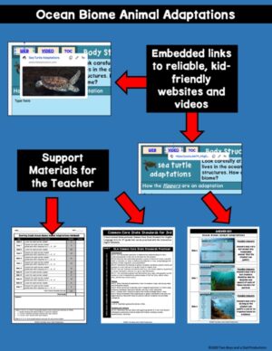 Ocean Biome Animal Adaptations Google Slides® Notebook | Made By Teachers