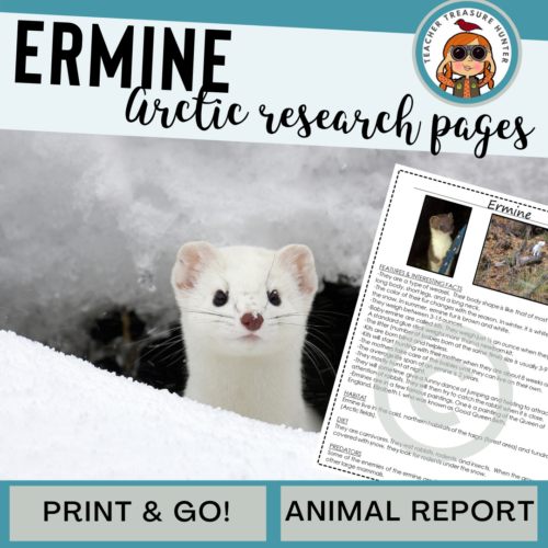 Ermine Arctic Animal Research Pages for animal research paper | Made By ...