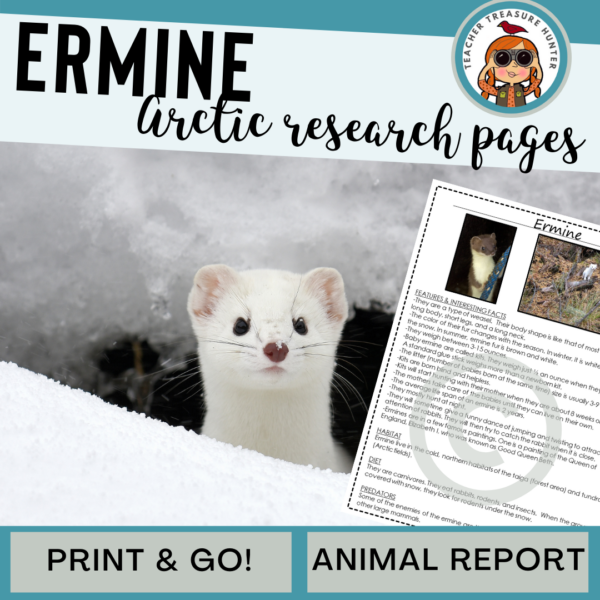 Ermine Arctic Animal Research Pages for animal research paper | Made By ...