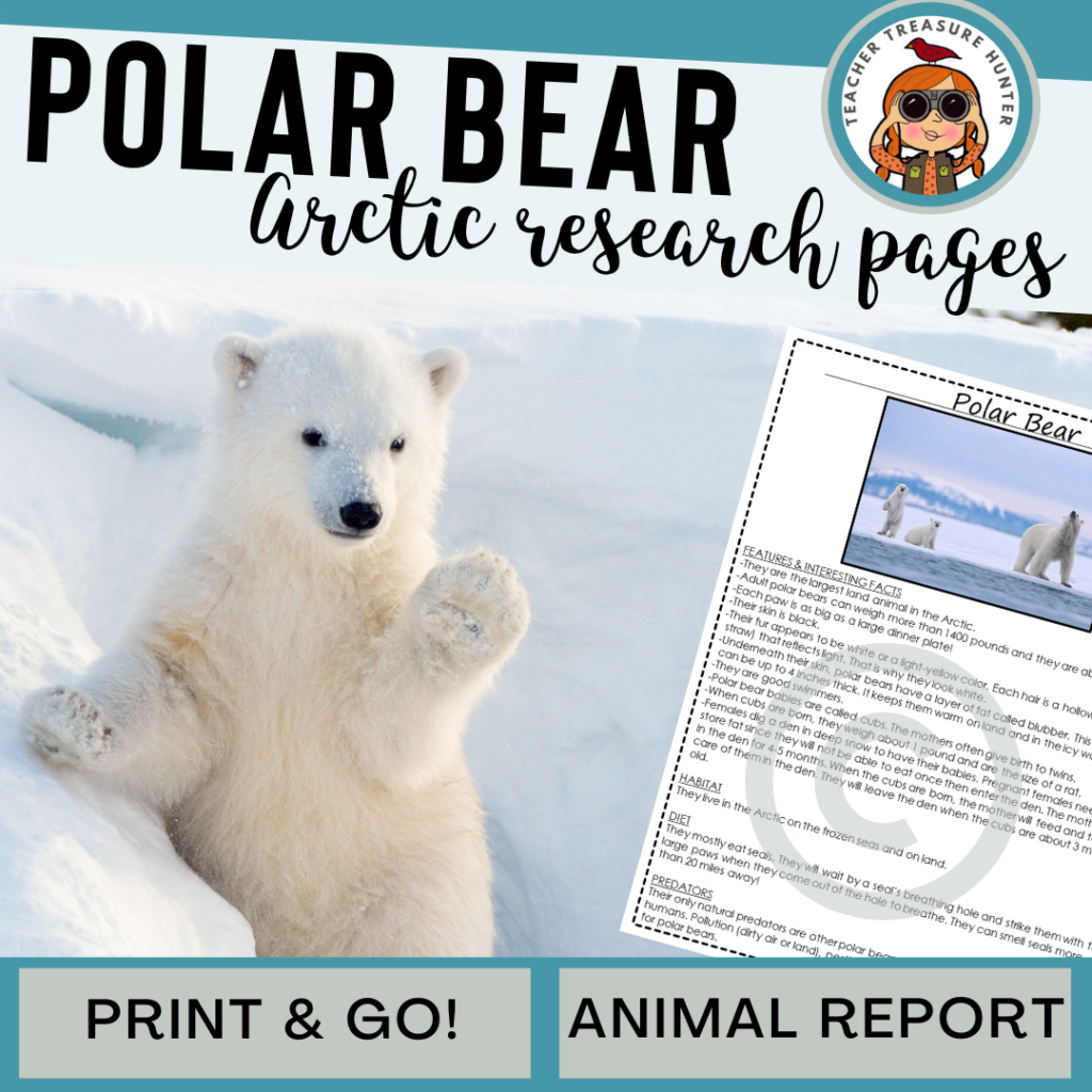 Polar Bear Arctic Animal Research Page for animal research report or ...