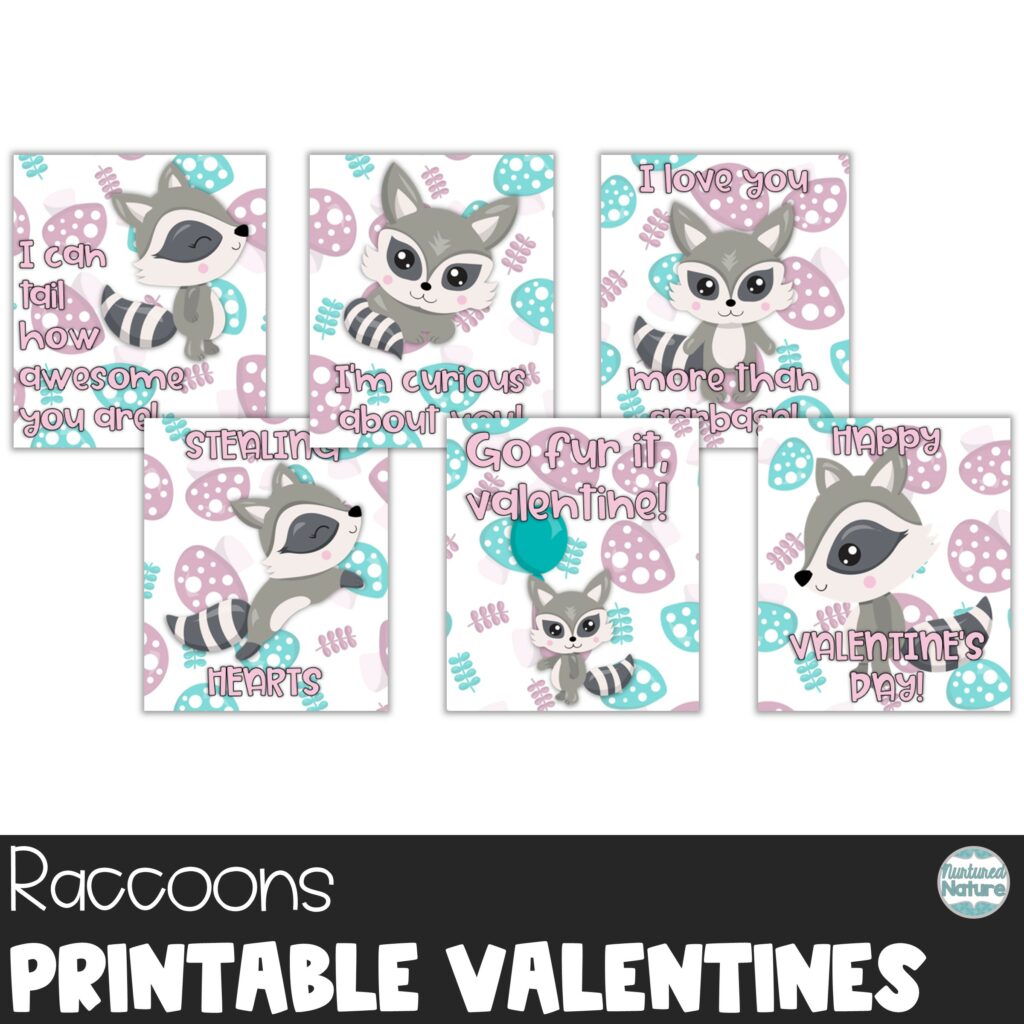 Raccoon Printable Valentine’s Day Cards for Students Class Exchange ...
