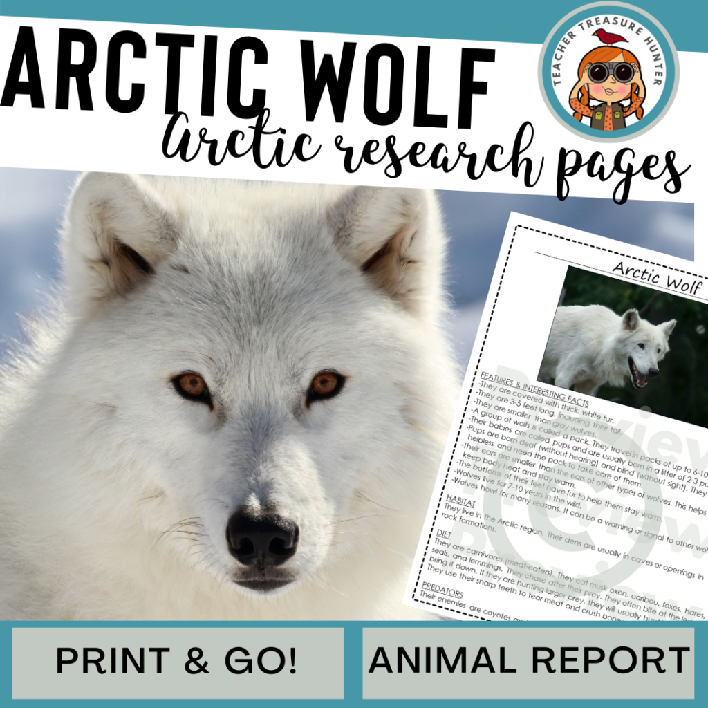 Arctic Wolf Animal Research Pages for research and writing animal ...