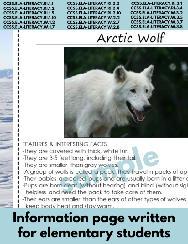 Arctic Wolf Animal Research Pages for research and writing animal ...