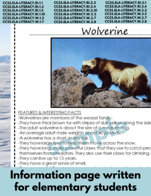 Wolverine Animal Research Pages for research and writing an animal ...