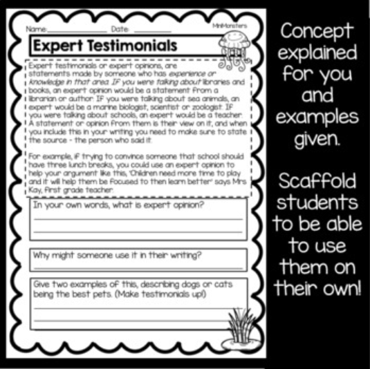 Expert Opinion Worksheets | Made By Teachers