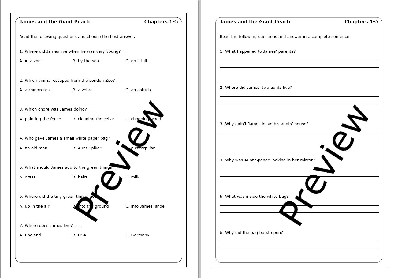 Roald Dahl "James and the Giant Peach" worksheets | Made By Teachers