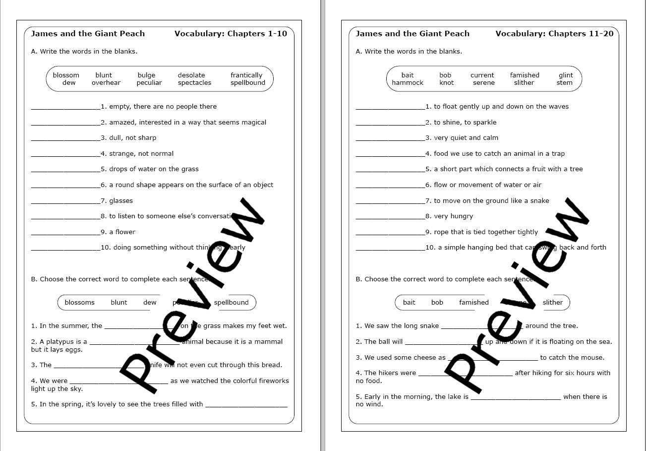 Roald Dahl "James and the Giant Peach" worksheets | Made By Teachers