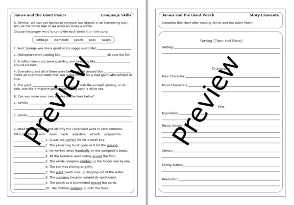 Roald Dahl "James and the Giant Peach" worksheets | Made By Teachers
