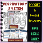 Respiratory System - Human Body System Graphic Organizers | Science ...