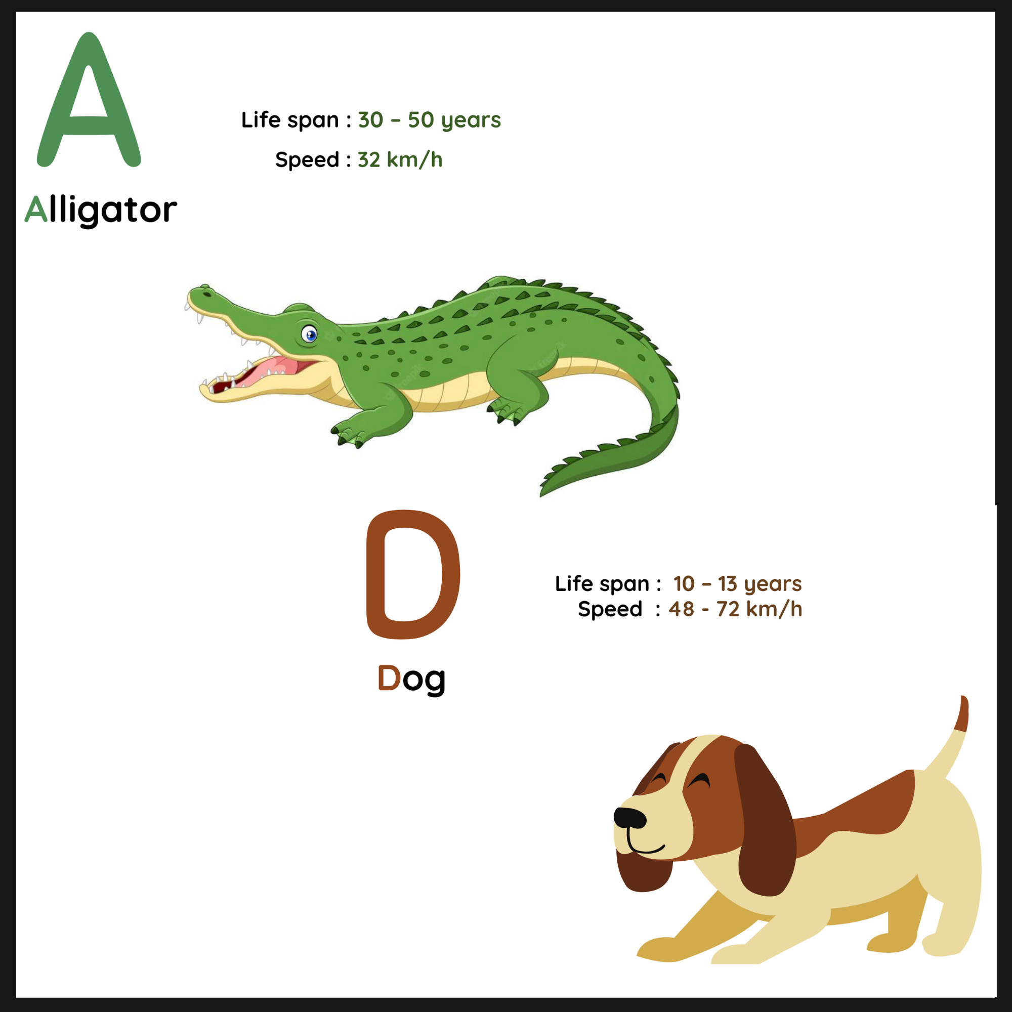 Animals Alphabet pictures from A to Z. | Made By Teachers