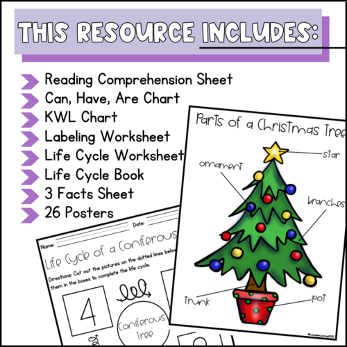 Life Cycle of a Christmas Tree Activities, Worksheets, Booklet ...