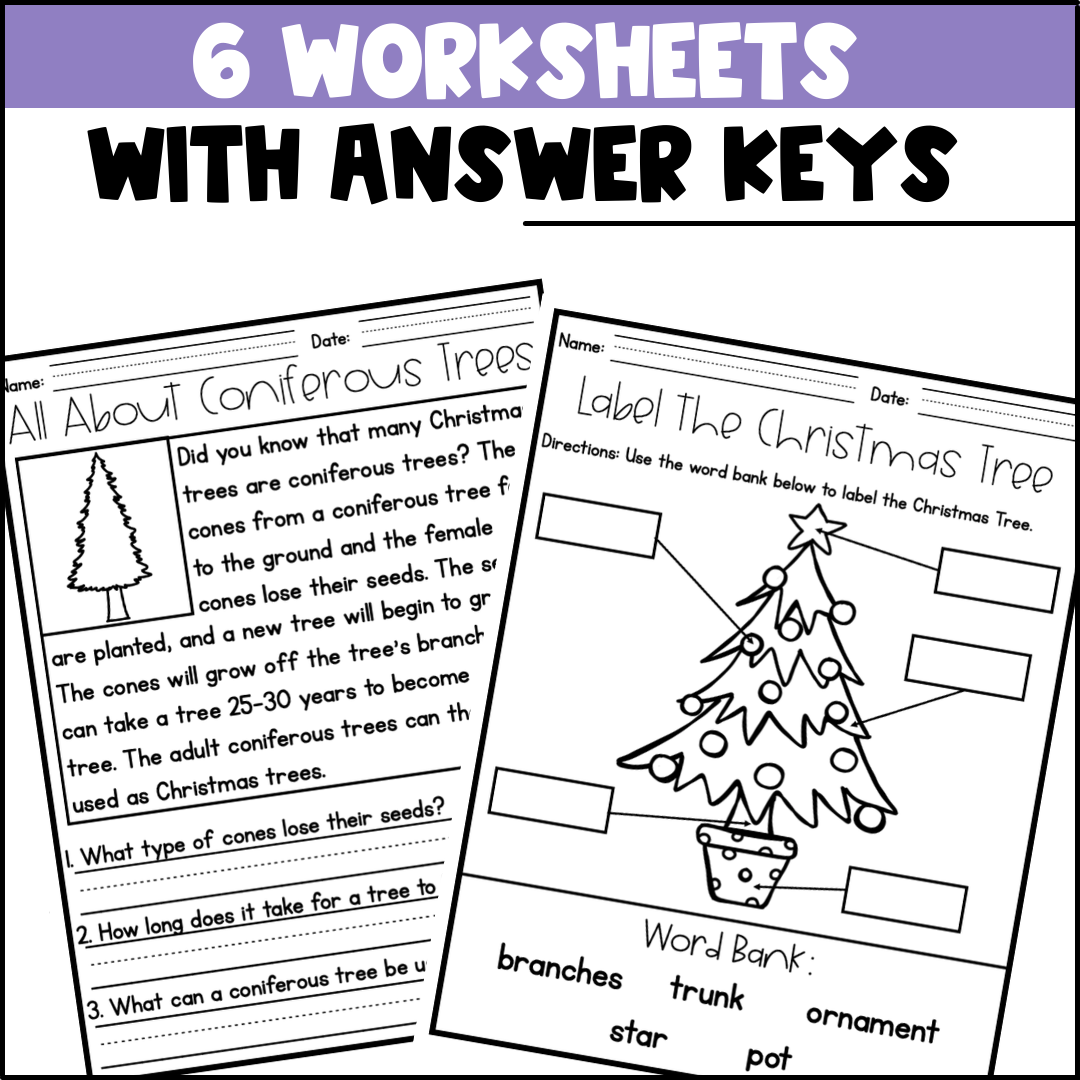 Life Cycle of a Christmas Tree Activities, Worksheets, Booklet ...