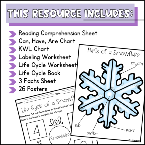 Life Cycle of a Snowflake Activities, Worksheets, Booklet - Snowflake ...