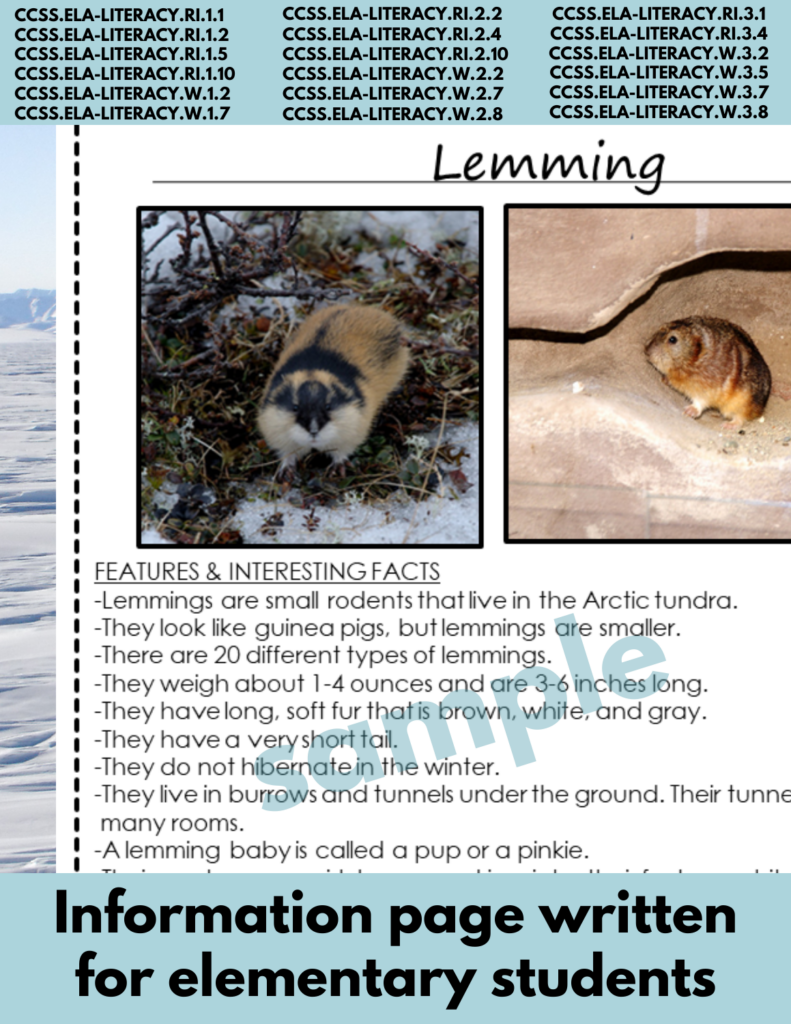 Lemming Animal Research Pages for learning about Arctic animals | Made ...