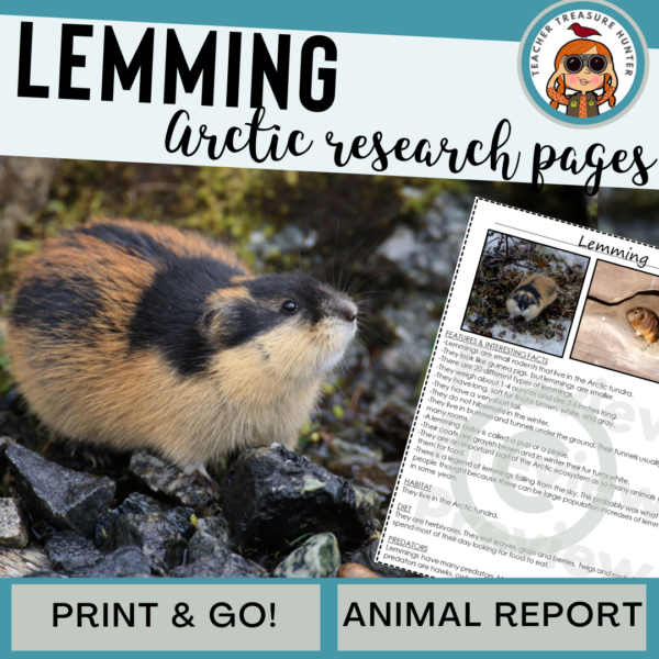 Lemming Animal Research Pages for learning about Arctic animals | Made ...