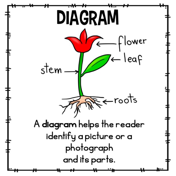 Nonfiction Text Features Posters Activities Assessment | Made By Teachers