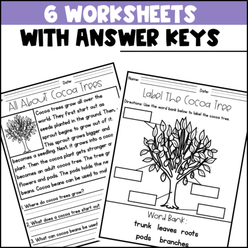 Life Cycle of a Cocoa Tree Activities, Worksheets - Cacao Tree Life ...