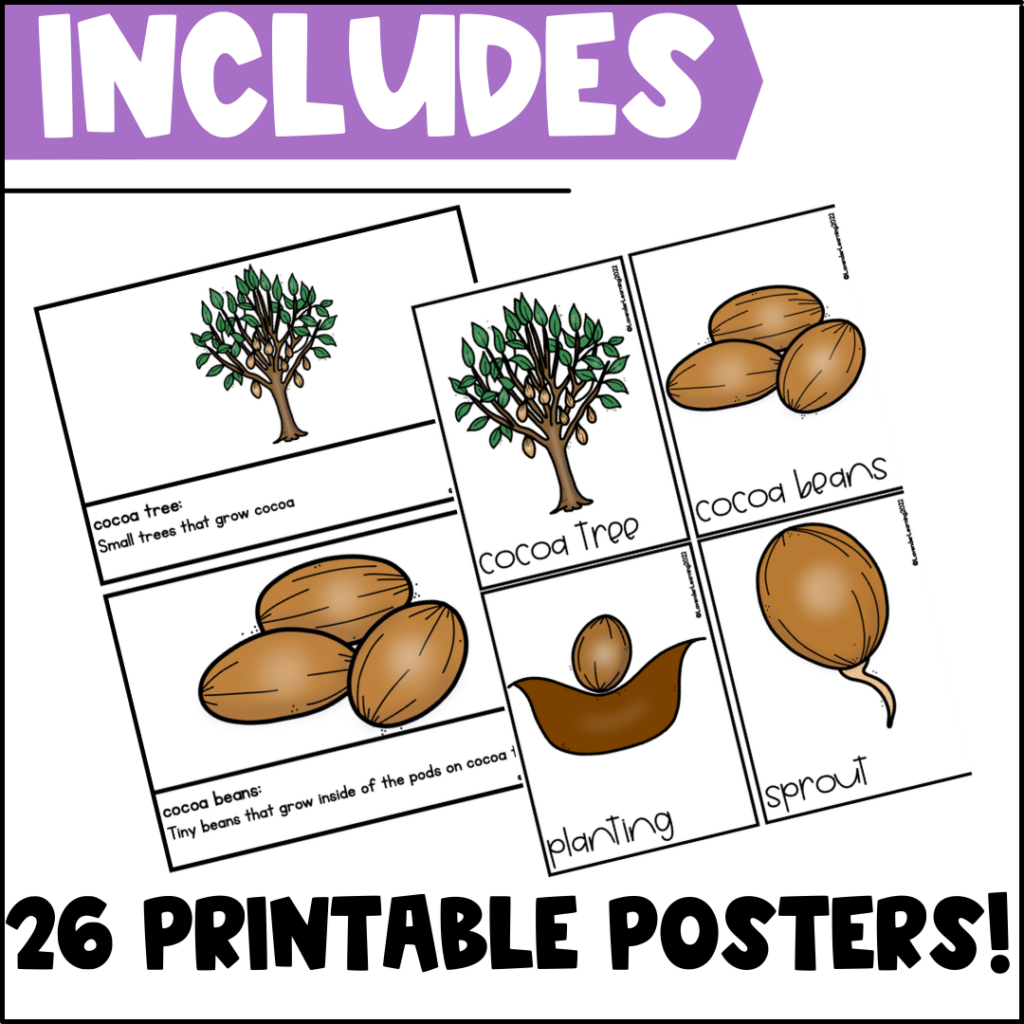 Life Cycle of a Cocoa Tree Activities, Worksheets - Cacao Tree Life ...