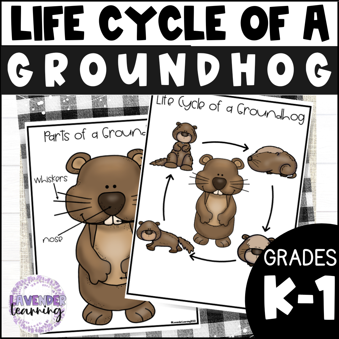 Life Cycle of a Groundhog Activities, Worksheets, Booklet - Groundhog ...