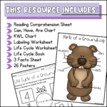 Life Cycle of a Groundhog Activities, Worksheets, Booklet - Groundhog ...