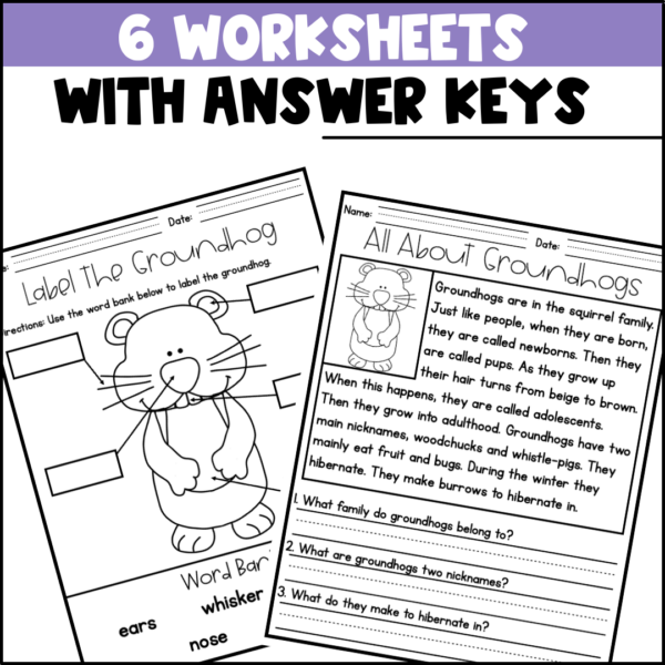 Life Cycle of a Groundhog Activities, Worksheets, Booklet - Groundhog ...