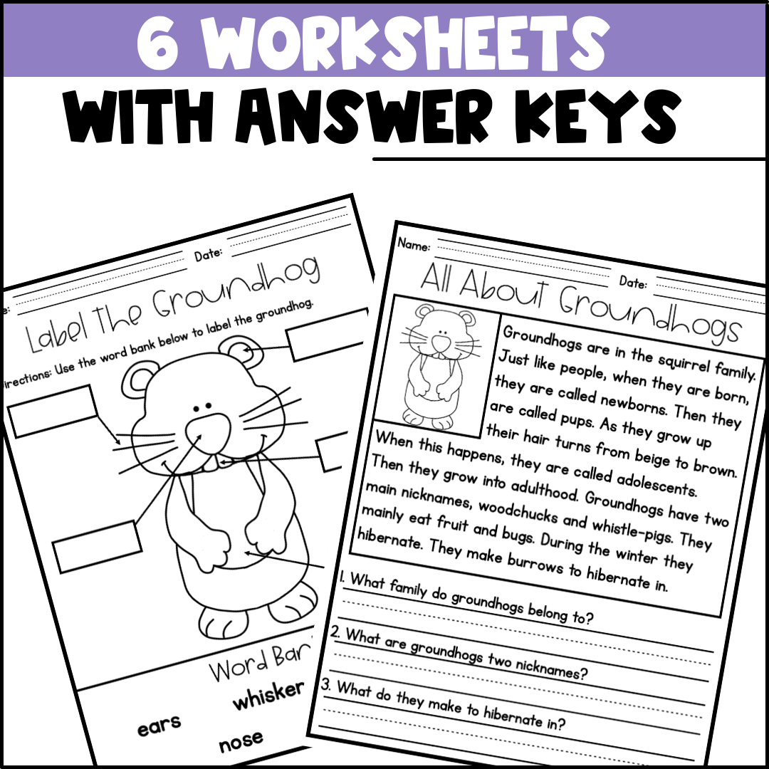 Life Cycle of a Groundhog Activities, Worksheets, Booklet - Groundhog ...