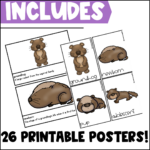 Life Cycle of a Groundhog Activities, Worksheets, Booklet - Groundhog ...
