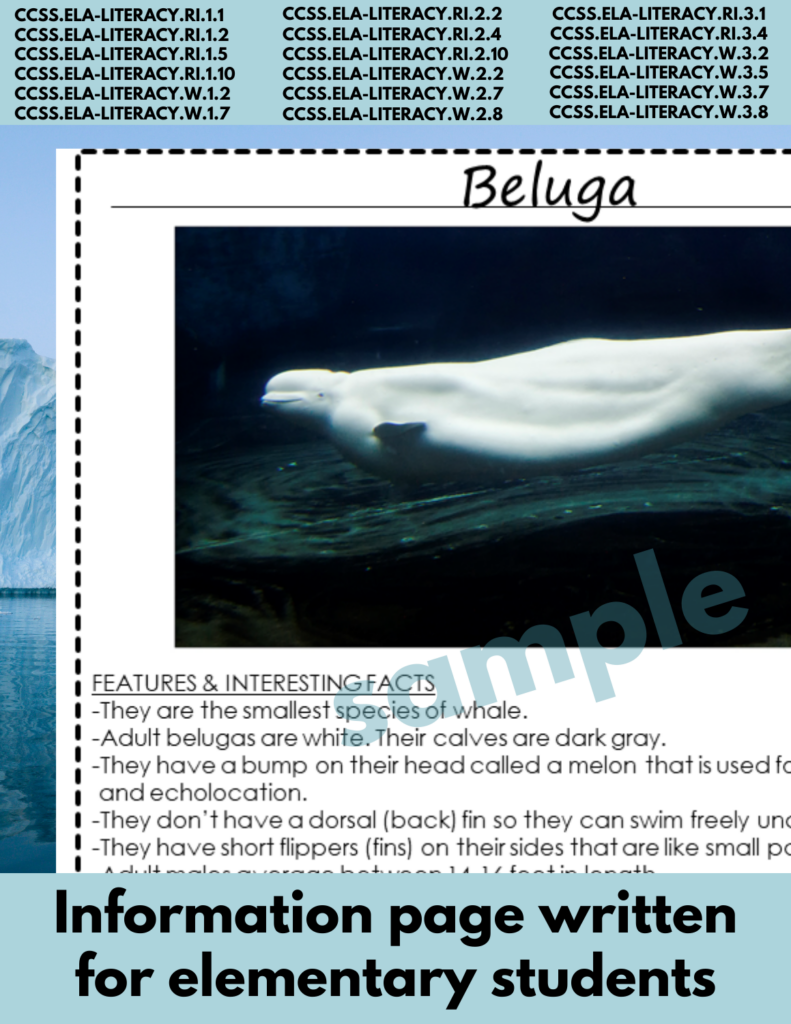 Beluga whale Animal Research Pages for research and writing animal ...