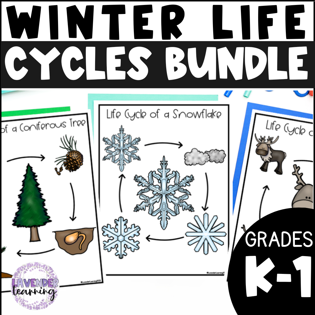 Life Cycle of a Harp Seal Activities, Worksheets, Booklet - Harp Seal ...