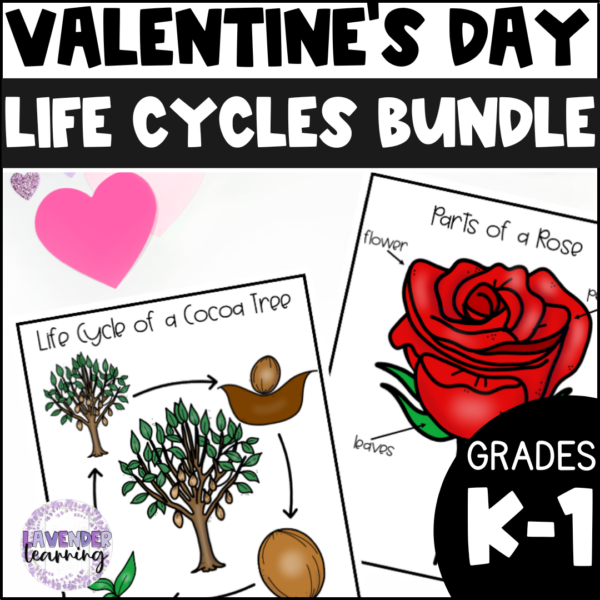 Valentine's Day Life Cycles Bundle - Rose & Cocoa Tree/ Cacao Tree ...
