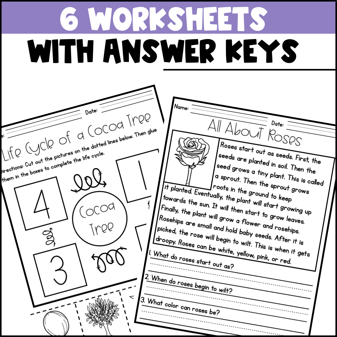 Valentine's Day Life Cycles Bundle - Rose & Cocoa Tree/ Cacao Tree ...