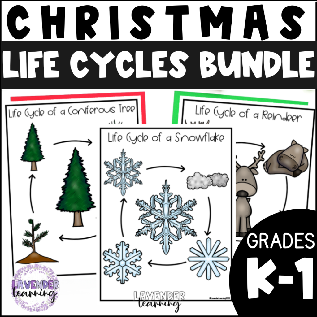 Christmas Life Cycle Bundle - Christmas Tree, Reindeer, and Snowflake ...