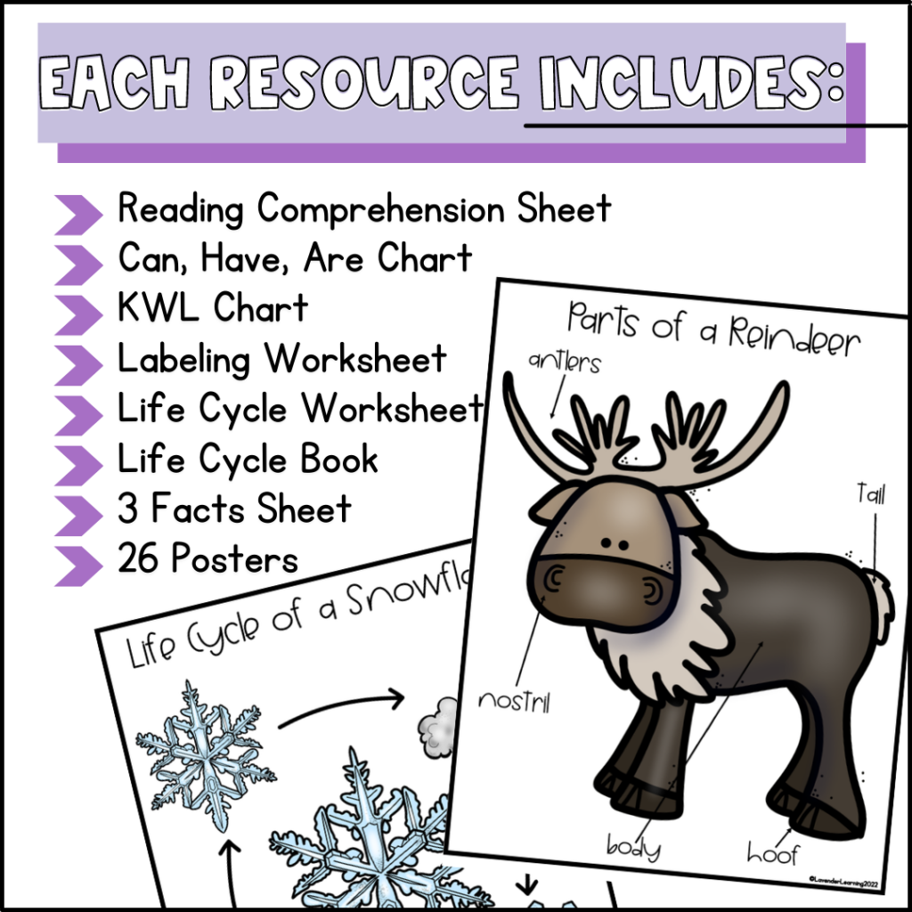 Christmas Life Cycle Bundle - Christmas Tree, Reindeer, and Snowflake ...