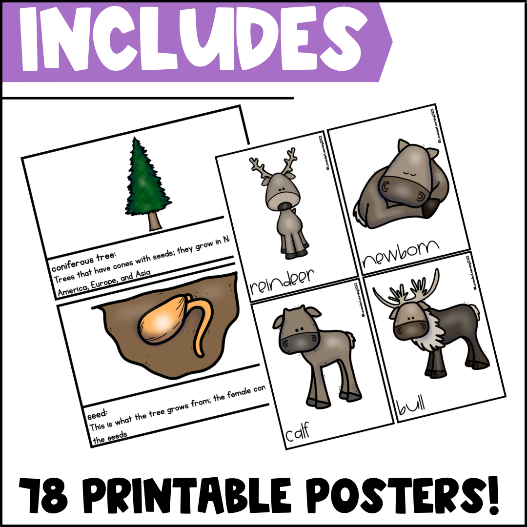 Christmas Life Cycle Bundle - Christmas Tree, Reindeer, and Snowflake ...