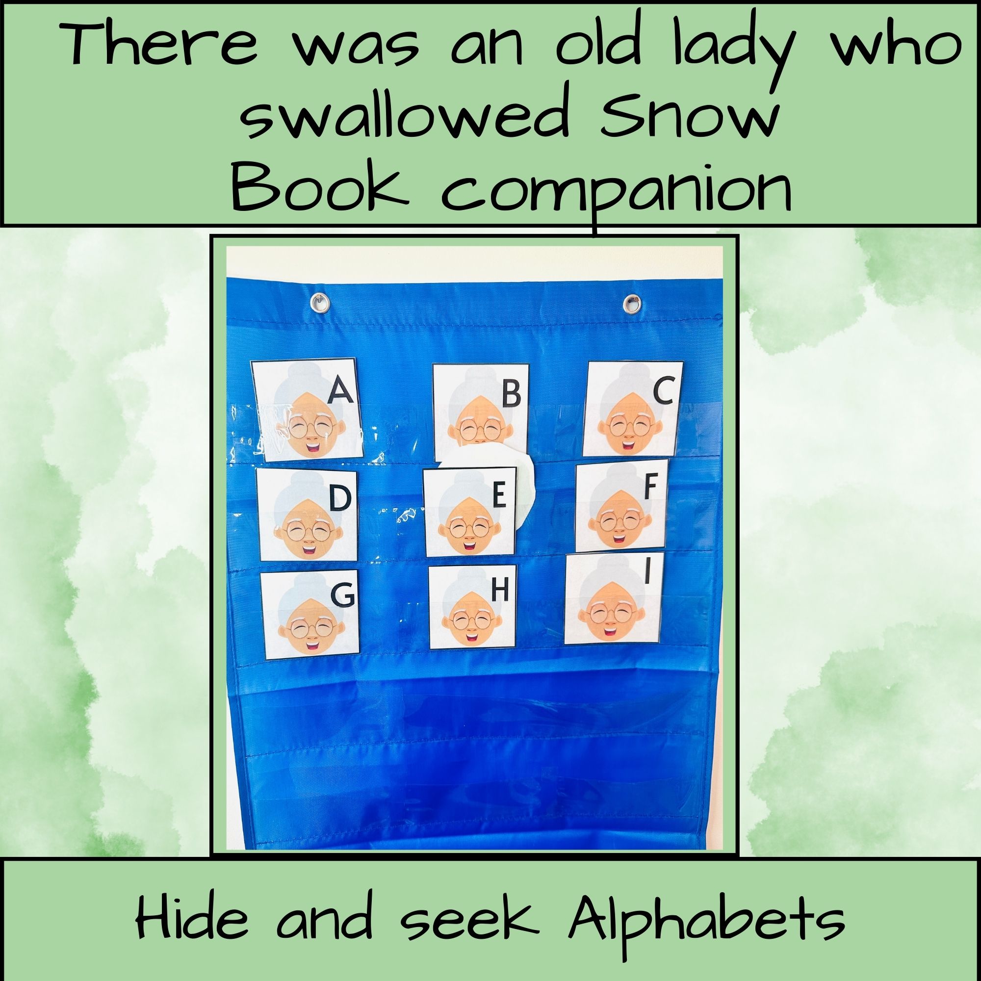 There was an old Lady who swallowed snow Book Companion| Hide and Seek ...