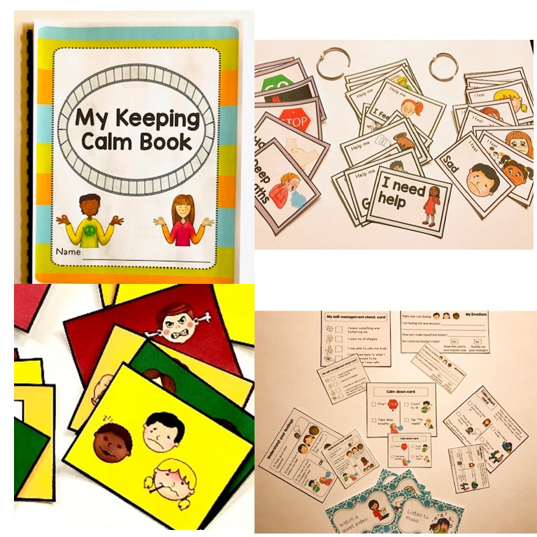 Emotion self regulation and behavior management supports. Autism and ...