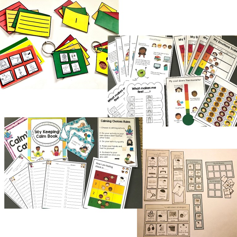 Emotion self regulation and behavior management supports. Autism and ...