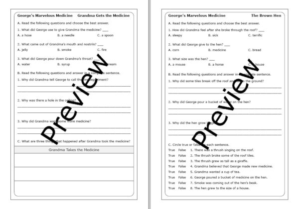 Roald Dahl "George's Marvelous Medicine" worksheets | Made By Teachers