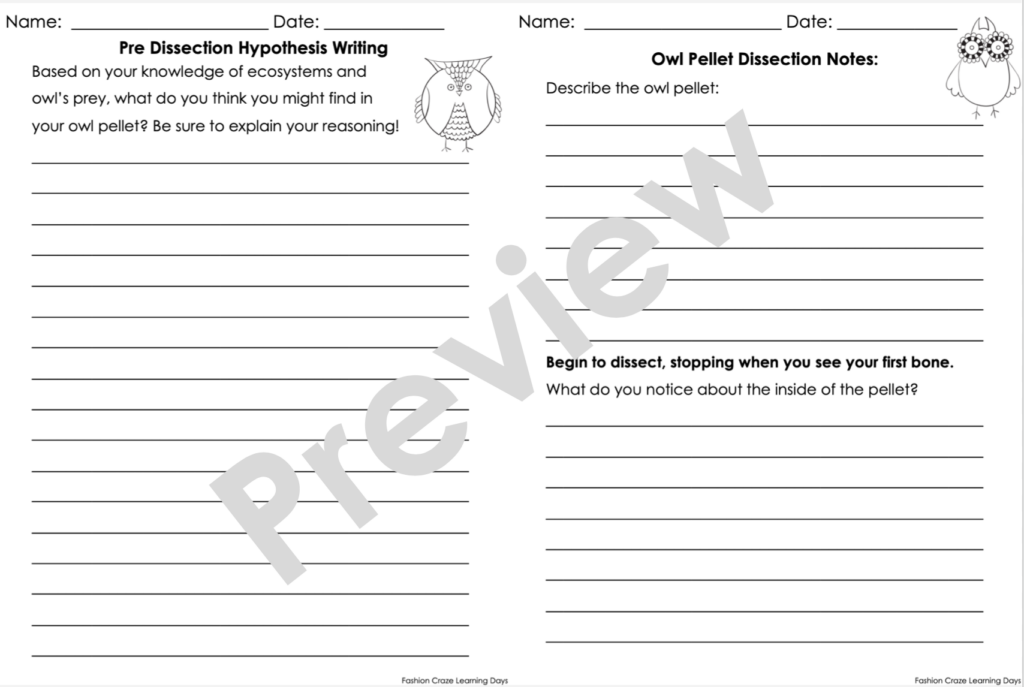 Owl Pellet Dissection Graphic Organizers | Made By Teachers