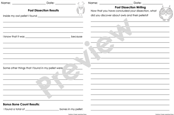 Owl Pellet Dissection Graphic Organizers | Made By Teachers