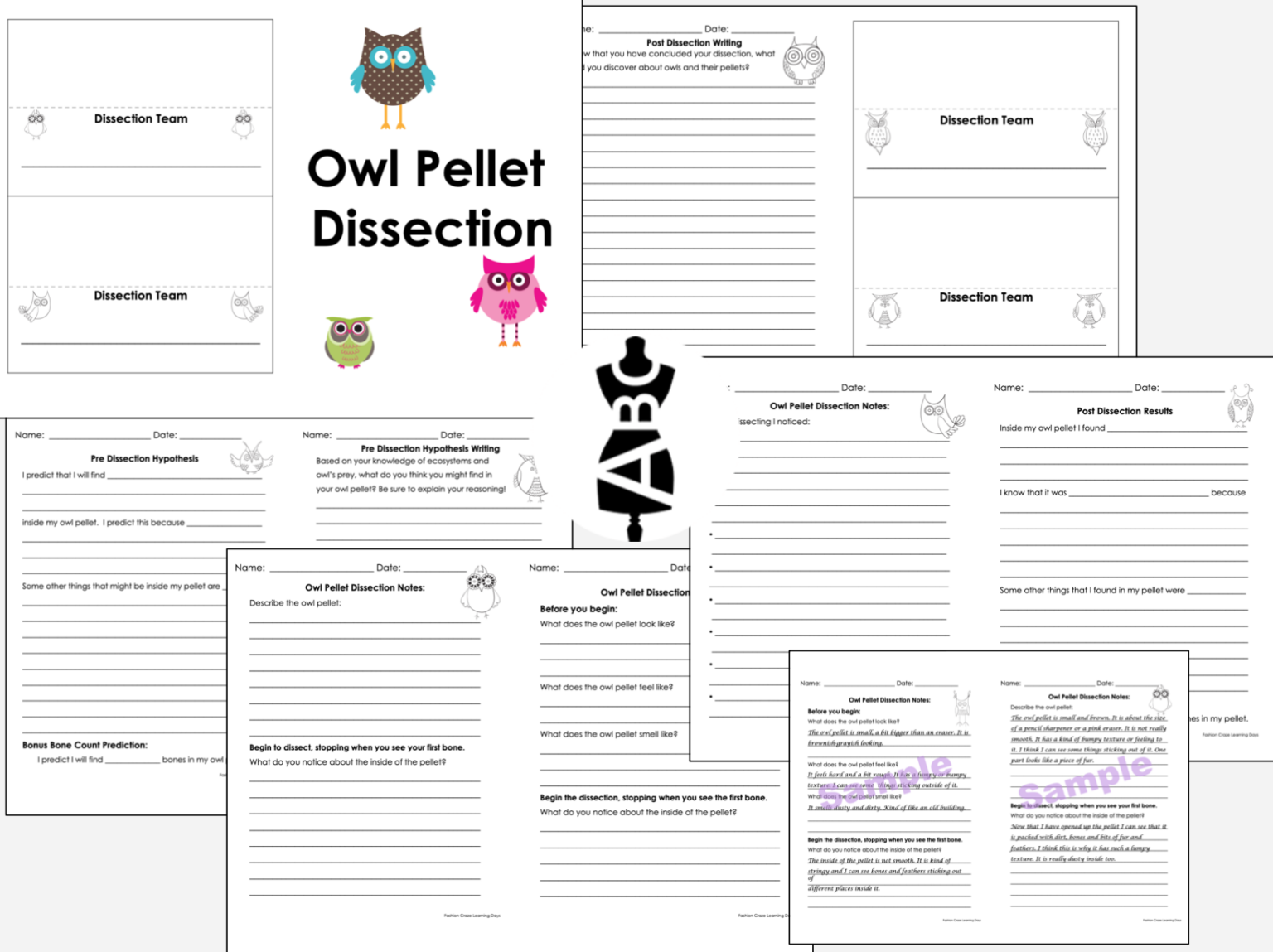 Owl Pellet Dissection Graphic Organizers | Made By Teachers