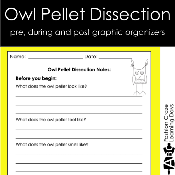Owl Pellet Dissection Graphic Organizers | Made By Teachers
