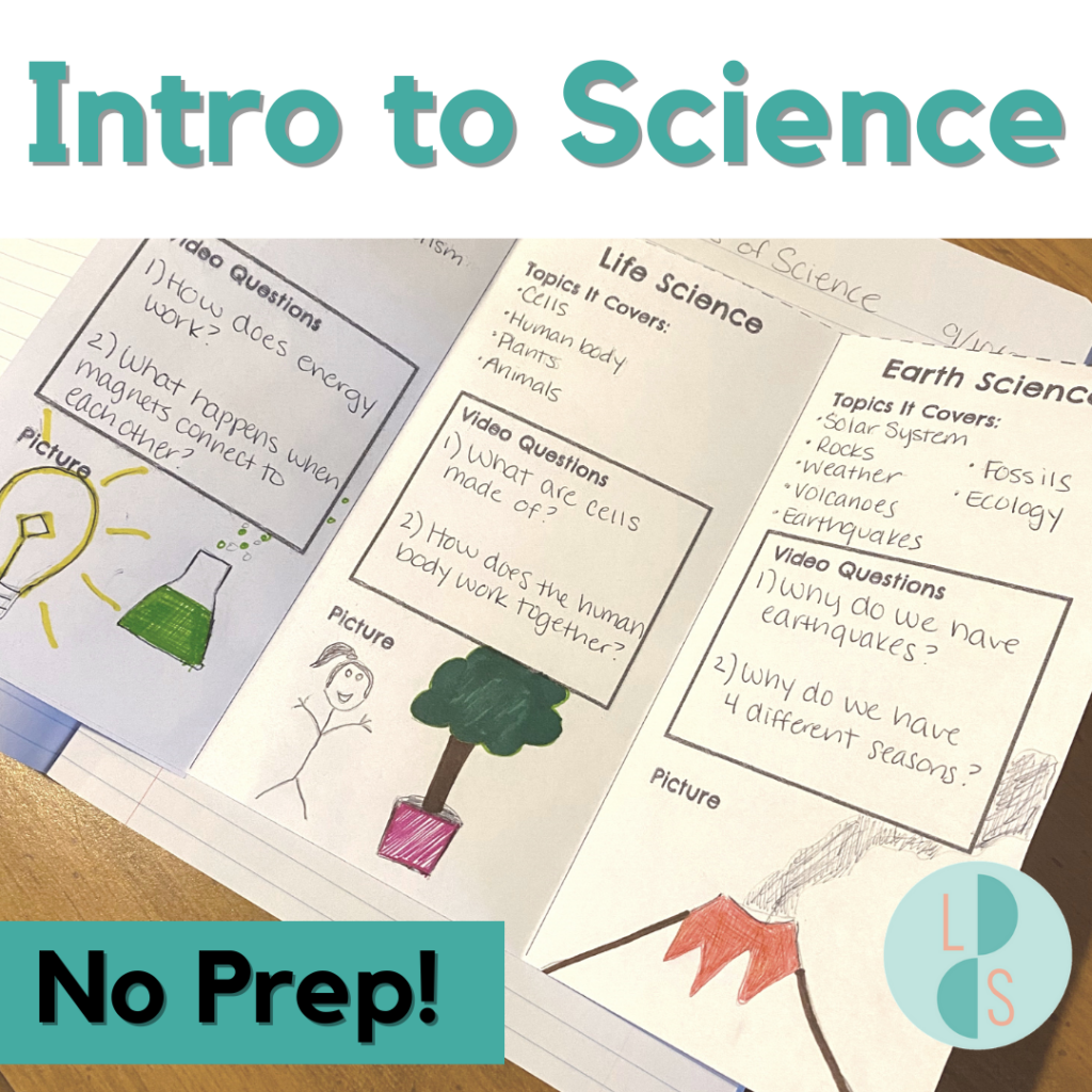 Branches in Science Lesson Plan | Made By Teachers