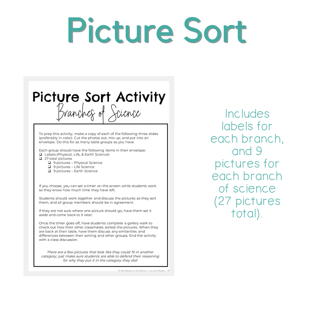 Branches in Science Lesson Plan | Made By Teachers