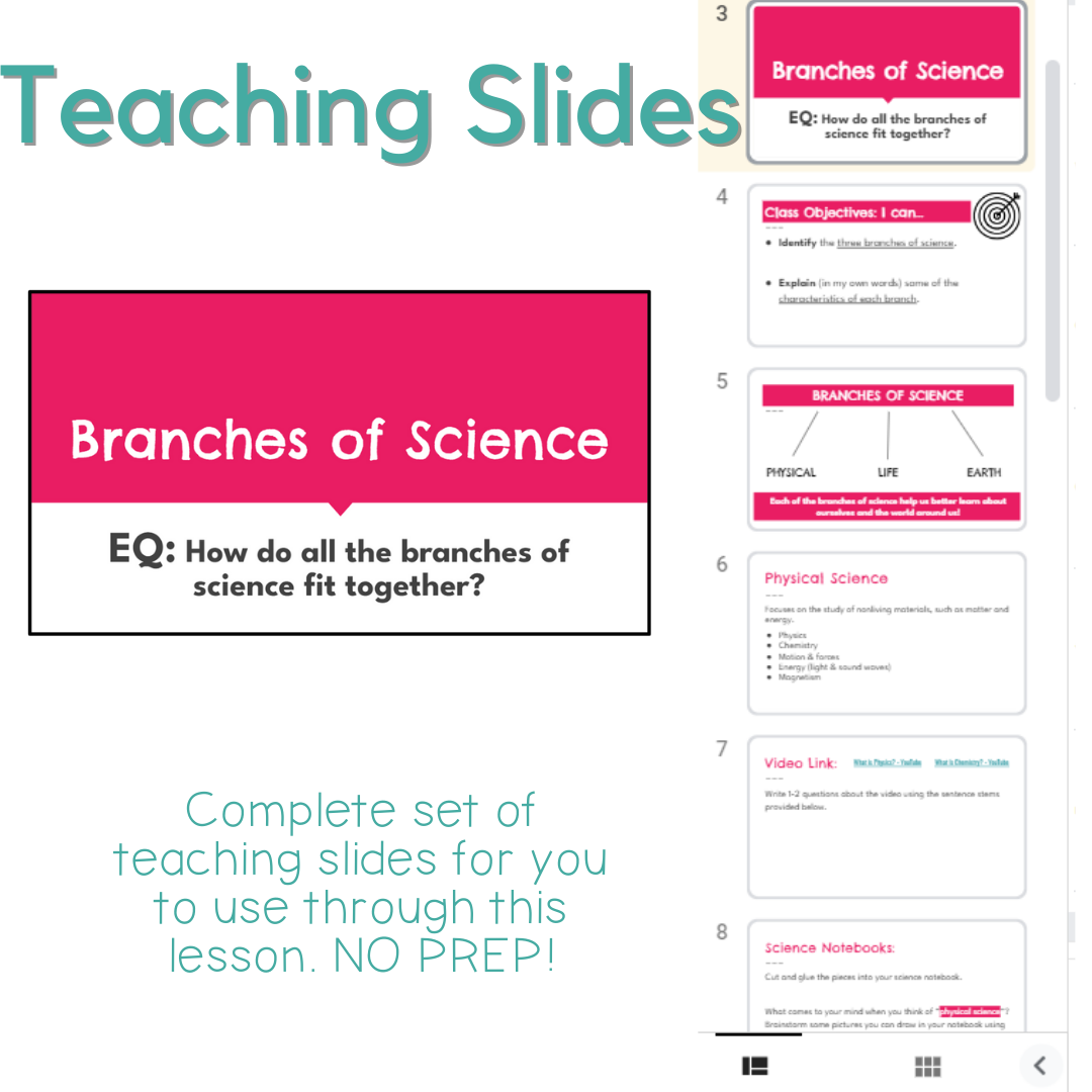 Branches in Science Lesson Plan | Made By Teachers