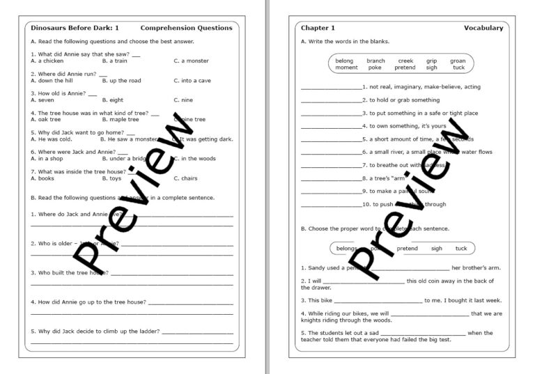 Magic Tree House "Dinosaurs Before Dark" worksheets | Made By Teachers