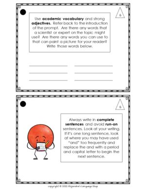 ESL State Language Test Prep Snow Themed Activities | Made By Teachers