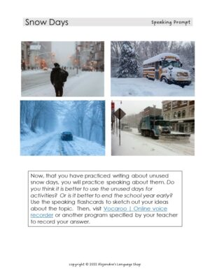 ESL State Language Test Prep Snow Themed Activities | Made By Teachers